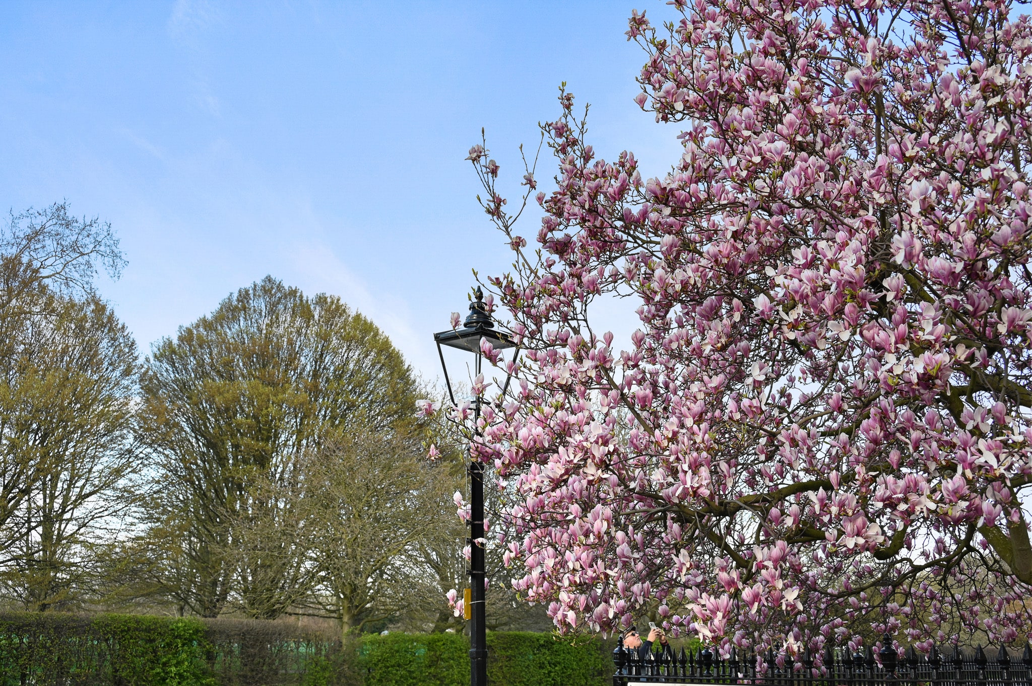 Contact | Jeremy James & Company